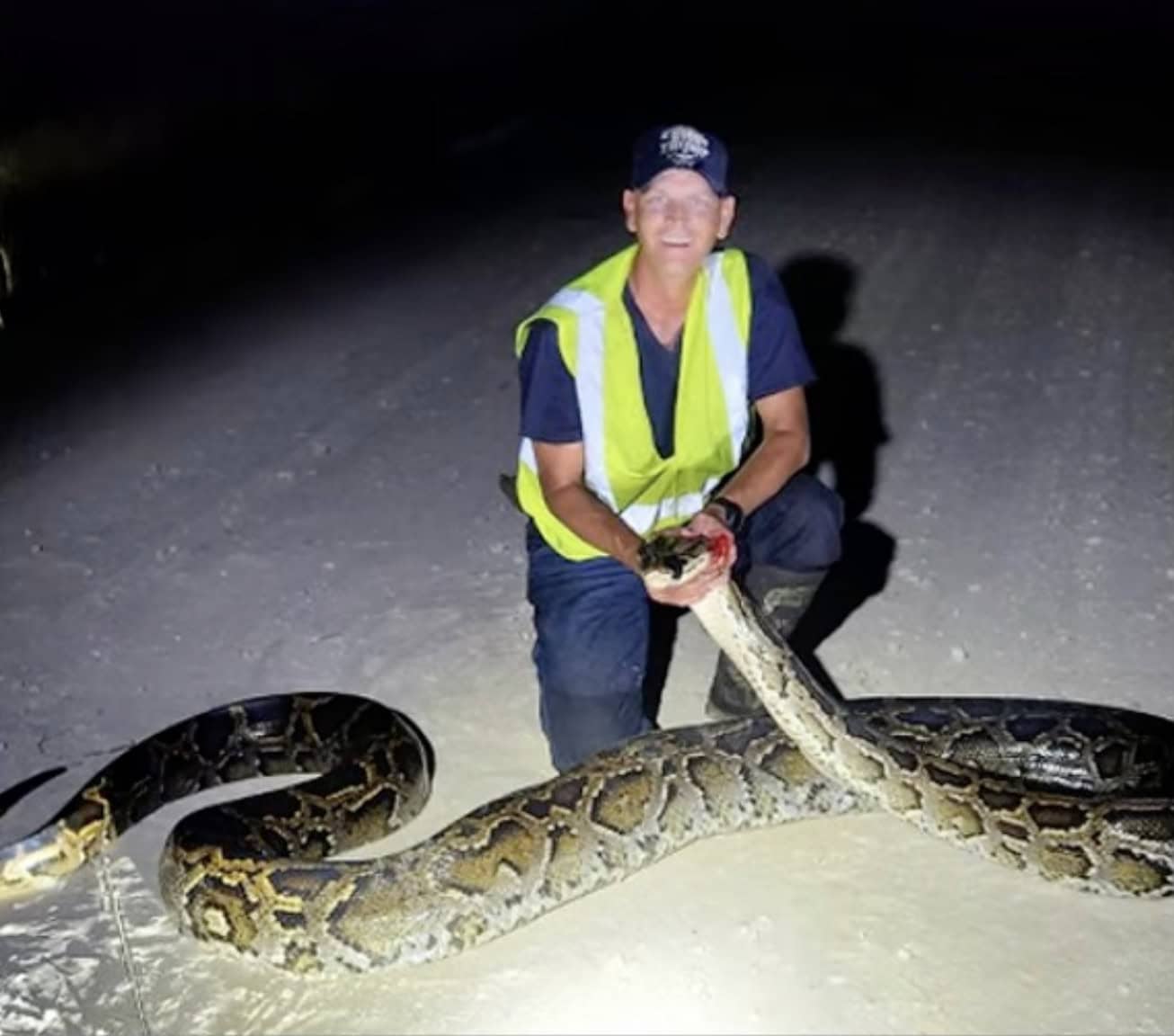 A Routine Hunt in the Everglades Turned Into a Record-Breaking Python Capture - A-Z Animals